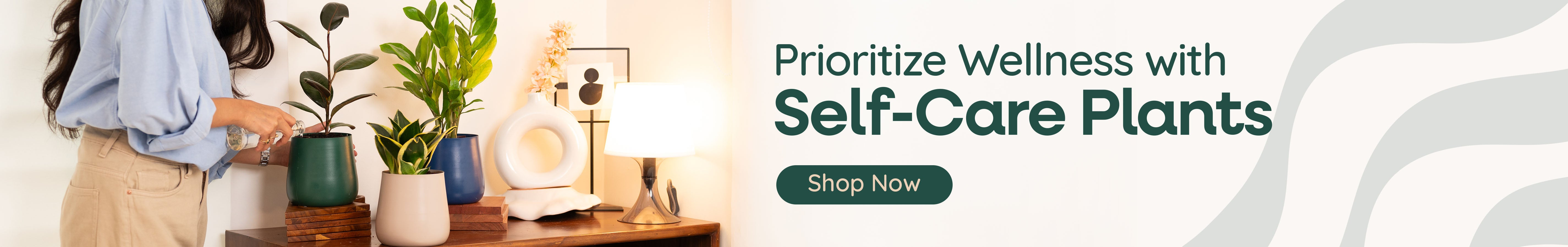 Self Care Indoor Plants - Self Watering Plants Online | Kyari – Kyari.co