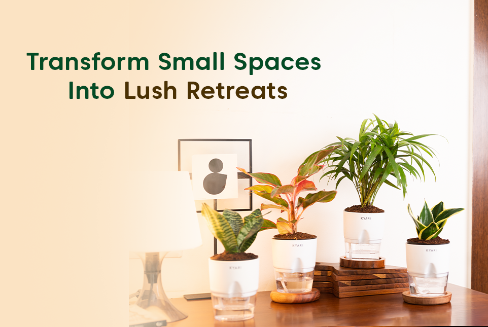 10 Small Garden Ideas That Feel Spacious and Inviting – Kyari.co