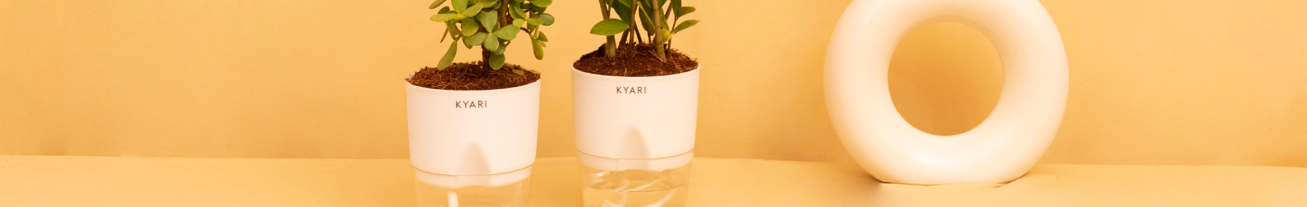 Some key benefits of self-watering pots and how a self-watering pot wo ...