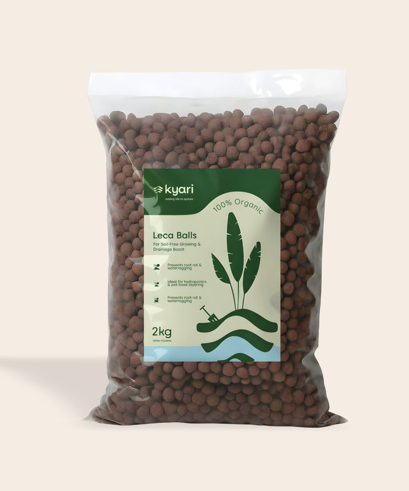 Hydroton Clay Balls (LECA for Plants) – 2Kg / 6L – Kyari.co