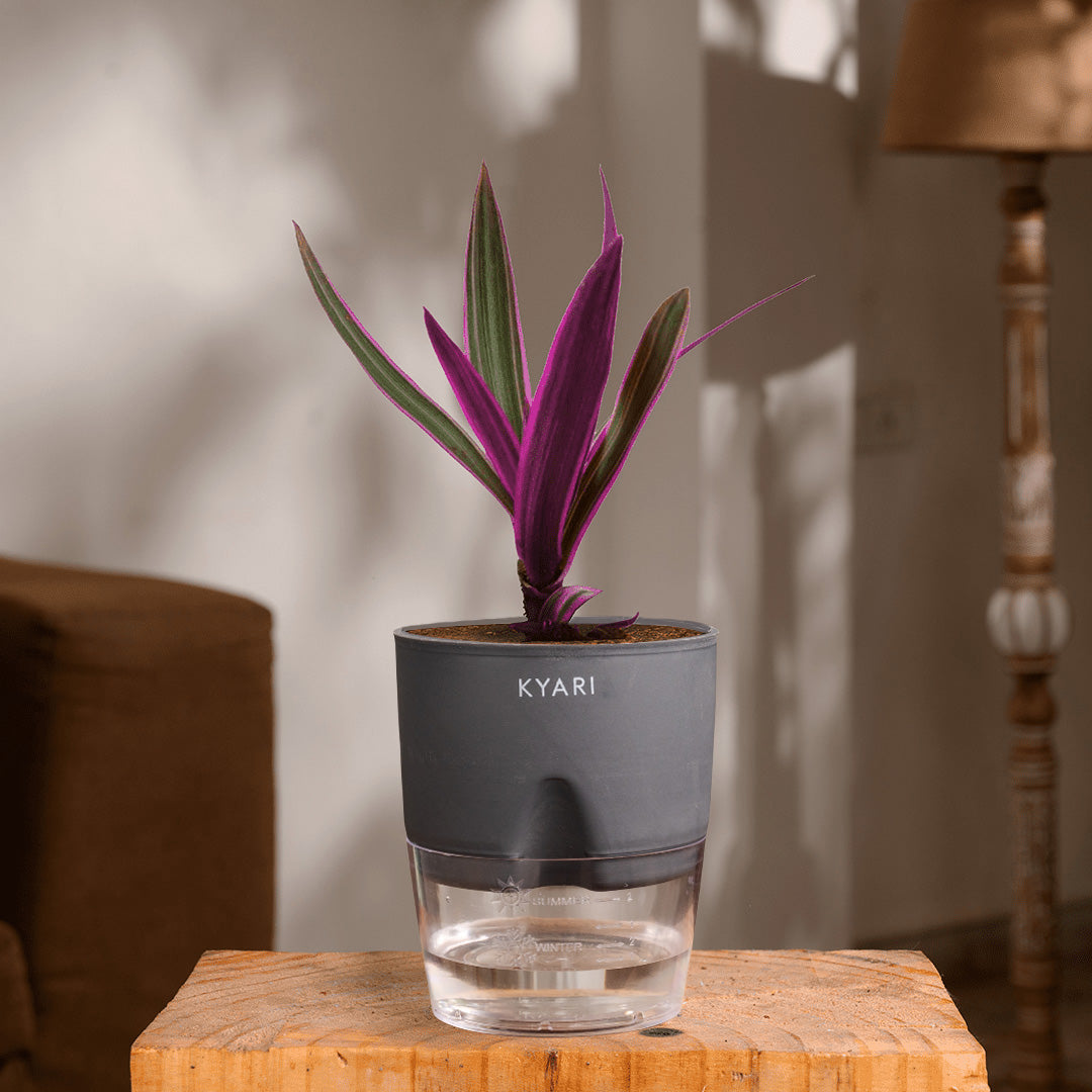 Build your own bundle – Kyari.co