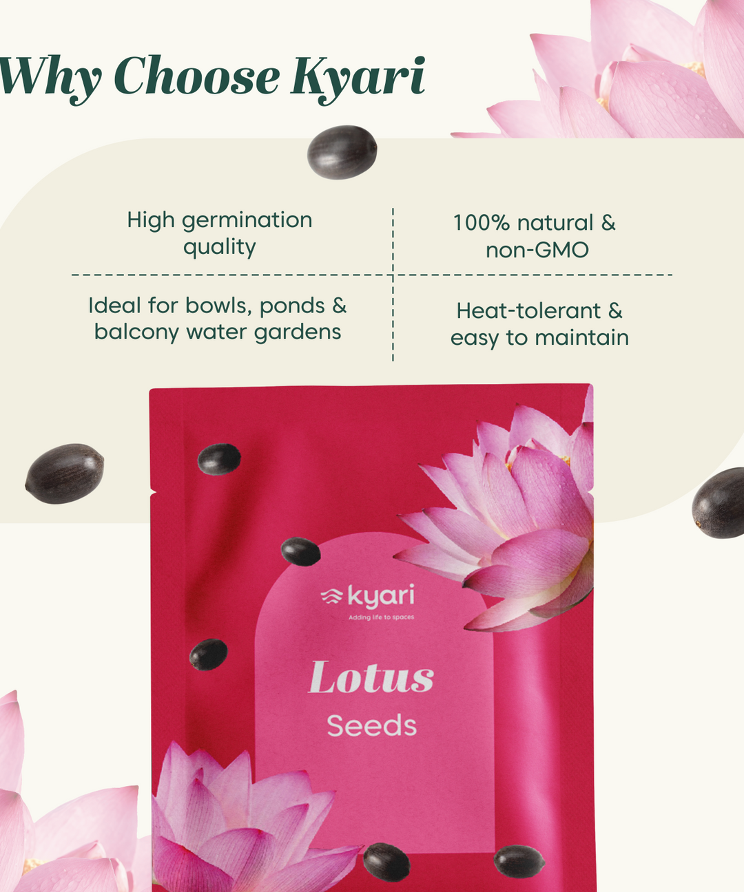 Lotus Flower Seeds (Pink, Pack of 10 g) - 12-15 Seeds – Kyari.co
