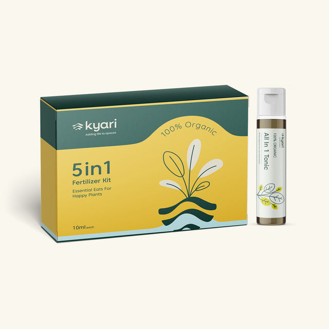 New Launch: Meet the New Leaves of Our Green Family | Kyari – Kyari.co