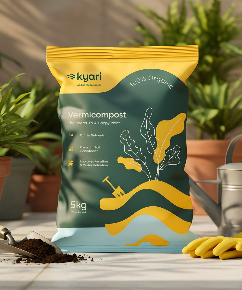 New Launch: Meet the New Leaves of Our Green Family | Kyari – Kyari.co