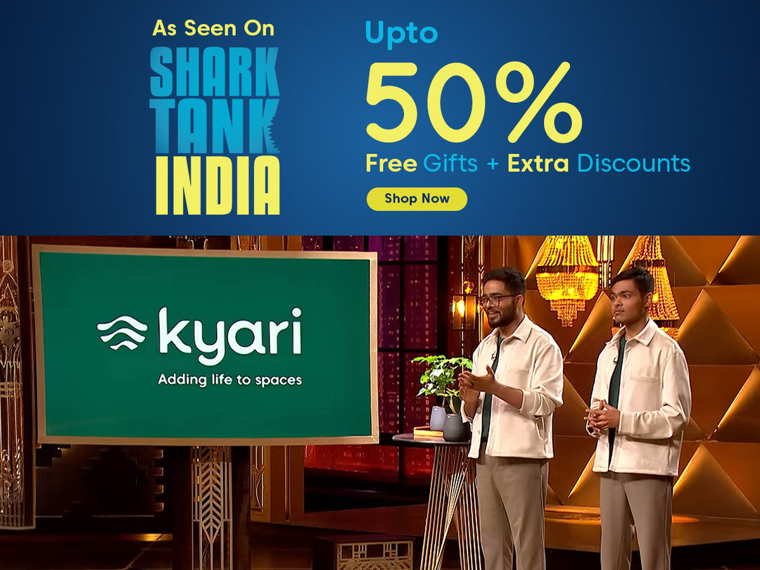 India's #1 Plant & Pots Store| As seen on Shark Tank| Kyari.co