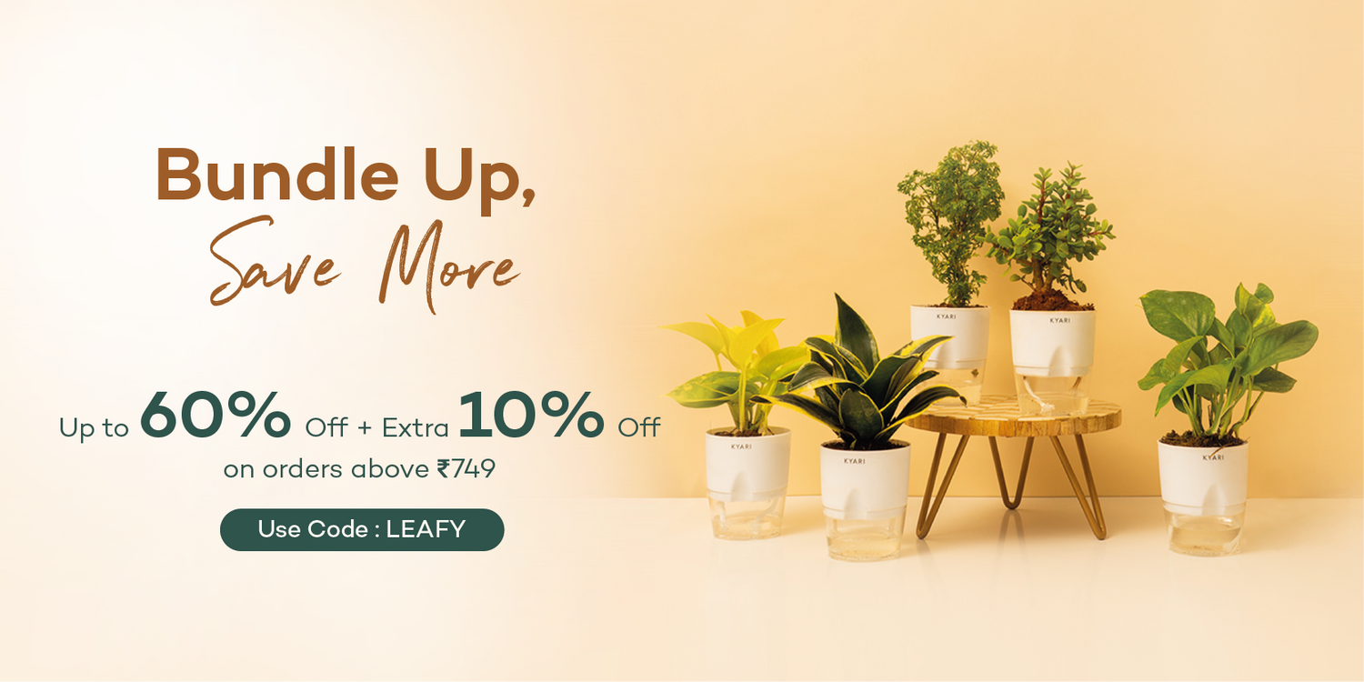 Collection: Save Big on combos