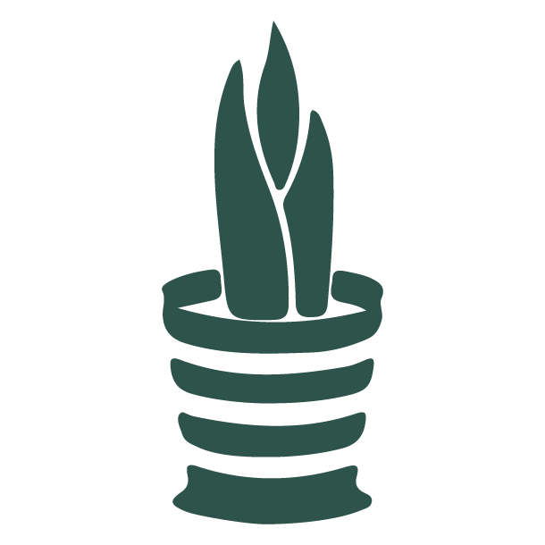 Buy Online Plants & Pots at Most Affordable Prices | Kyari